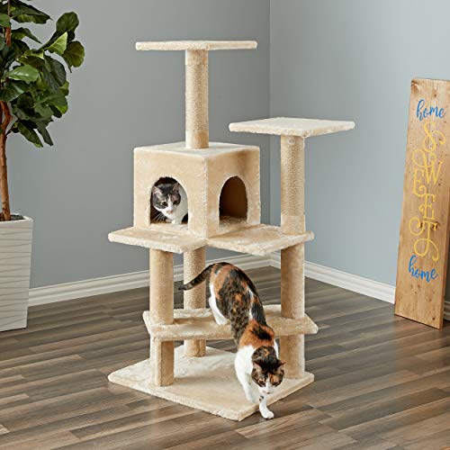 TWO by TWO Evergreen Double-Sided Cube condo, Large – HomePlace
