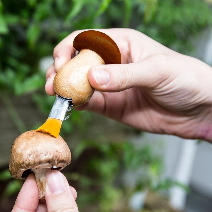 Mushroom Tool Keychain – HomePlace