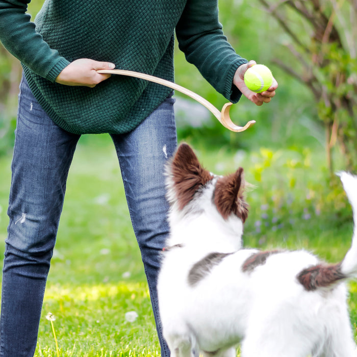 Wooden Ball Launcher – HomePlace